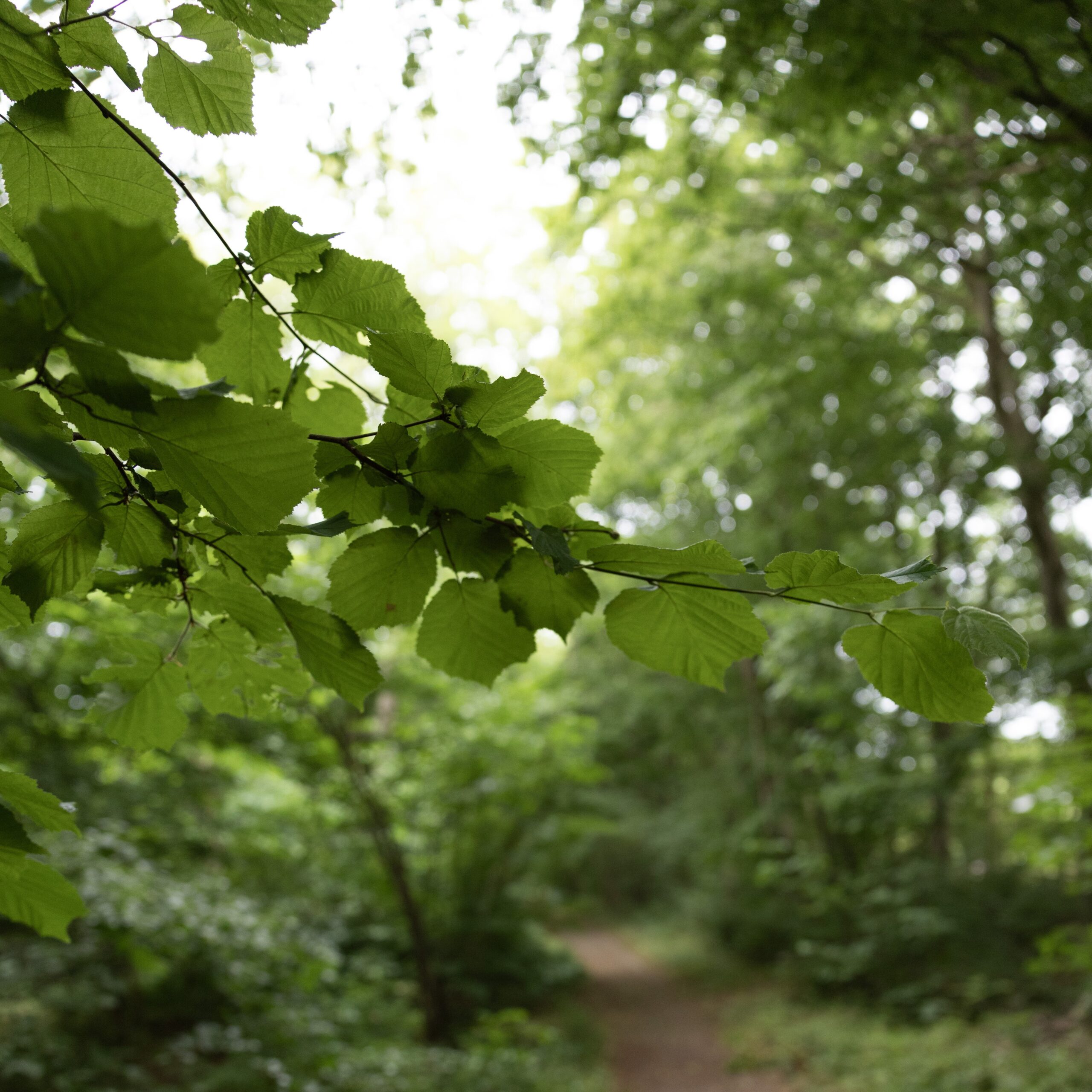 Familie- og parterapi i trygge rammer - Peters Terapi